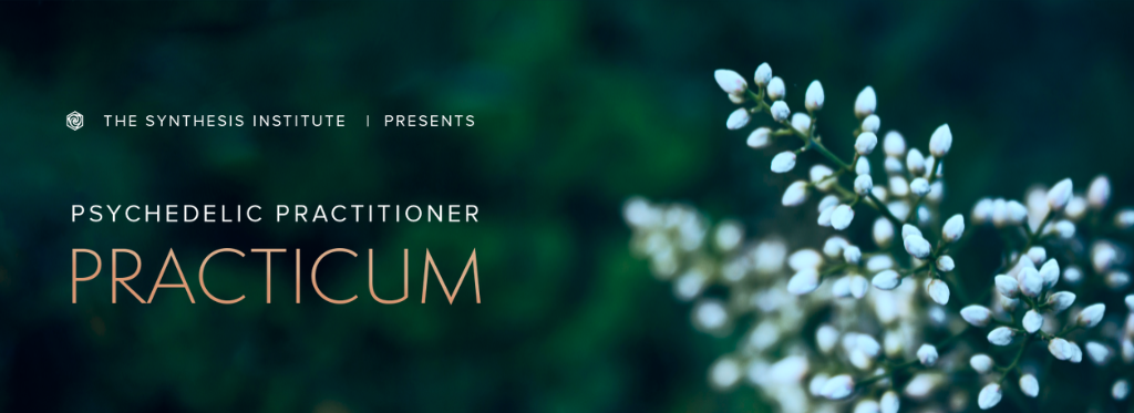 What is the Synthesis Practicum program?